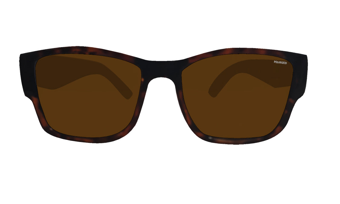 Tortoise Shell Polarized Sunglasses | Bomber Eyewear